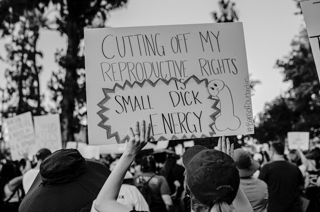 No Kings Protest - Edenton | Red Wine & Blue